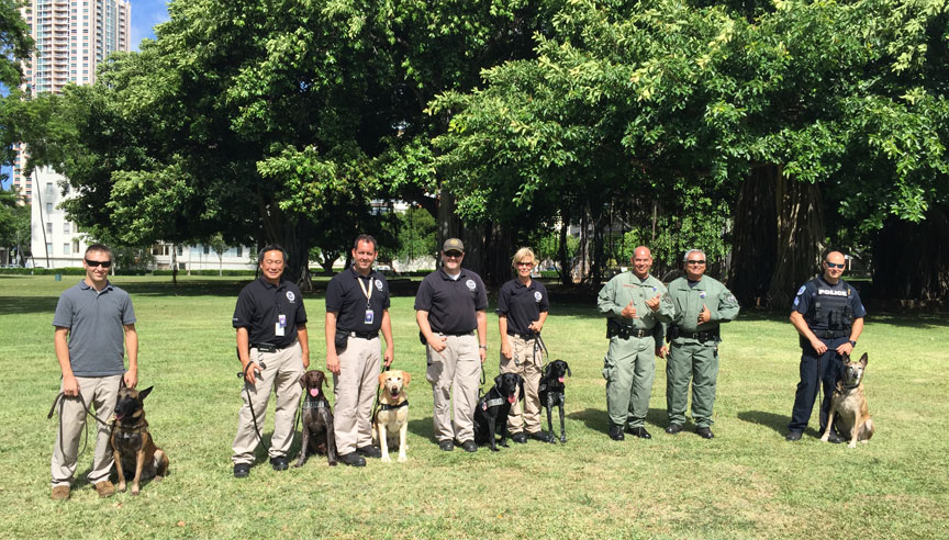 PHOTO GALLERY – Ike Loa Canine